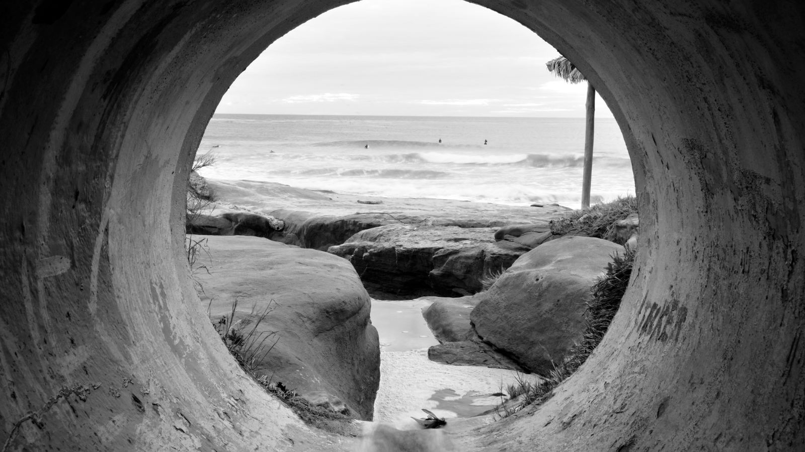 Making Waves Blog - All Posts | HRSD